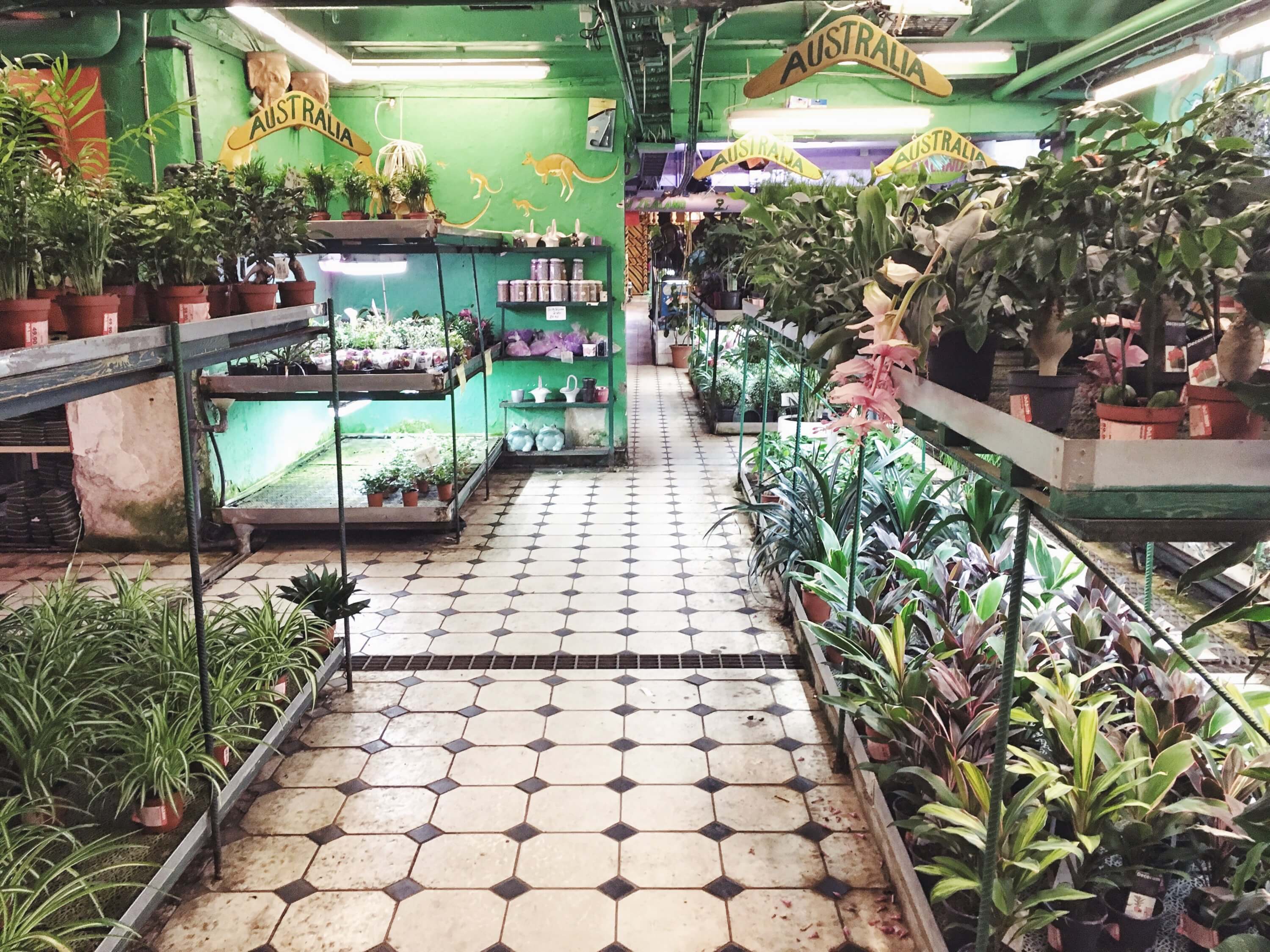 Malmös bästa växtbutiker och blomsteraffärer - Plantbyrån