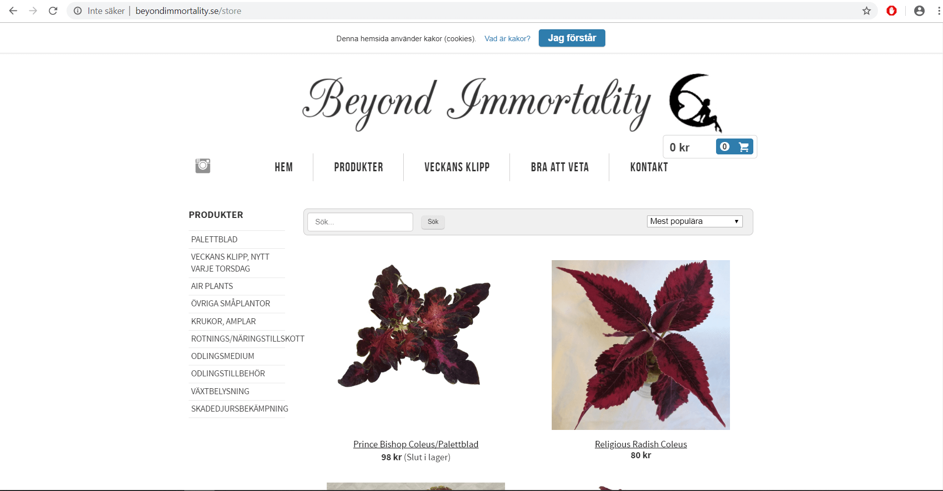 Våra bästa onlinebutiker för krukväxter - Plantbyrån