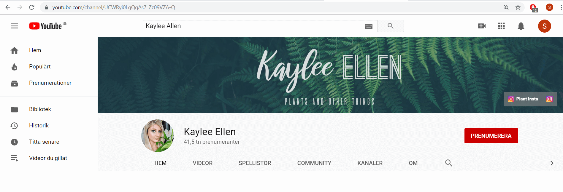 6 youtubekonton för alla växtälskare - Plantbyrån