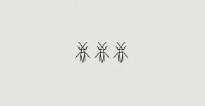 Trips på krukväxter: identifiering och bekämpning - Plantbyrån