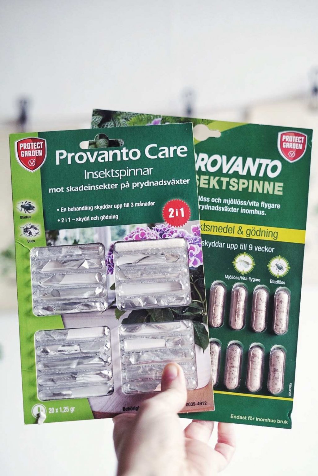 Ullöss: Identifiering och bekämpning - Ohyra - Plantbyrån